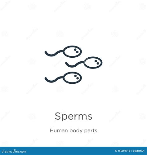 Sperms Icon Thin Linear Sperms Outline Icon Isolated On White
