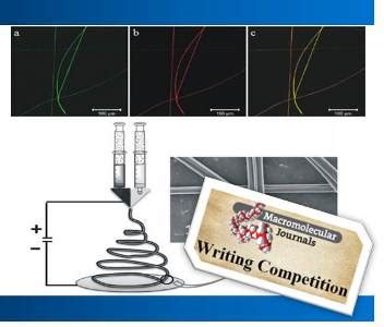 Two Sides In One Single Silk Fiber Advanced Science News