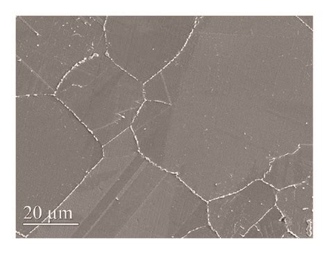 Microstructure Of Alloy 625 After Aging Sensitization For Different Download Scientific Diagram
