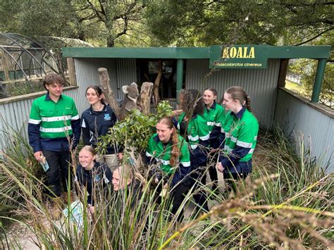 Vet Certificate Ii In Animal Care Marist Regional College