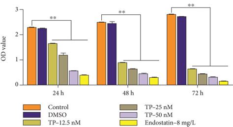 Tp Inhibited The Proliferation Migration Adhesion And Angiogenesis Download Scientific