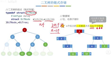 二叉树的链式存储 Csdn博客