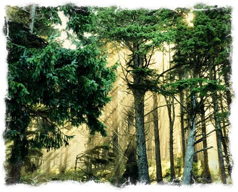 Brand Patterning Girvin Strategic Branding And Design