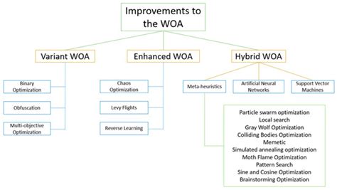 Multi Strategy Hybrid Whale Optimization Algorithm Improvement