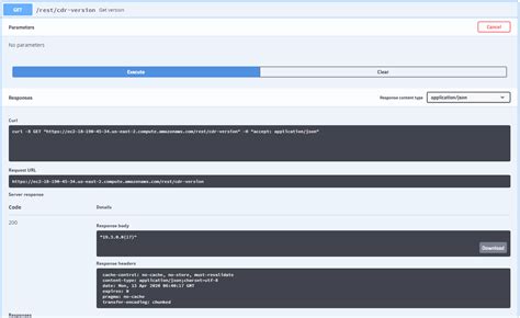 Rest Api Cloud Disaster Recovery Best Practices Dell Technologies Info Hub
