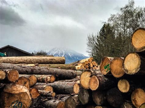 Premium Photo Heap Of Tree Against Sky