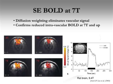 Ppt Bold Imaging At 7t Powerpoint Presentation Free Download Id 269843