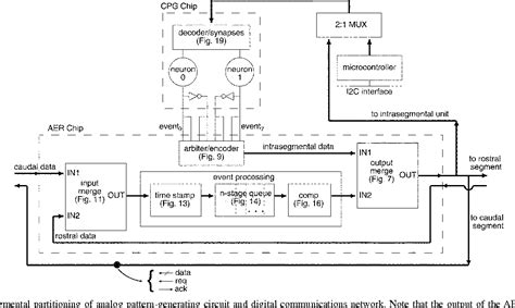 Figure 5 From An Asynchronous Architecture For Modeling Intersegmental