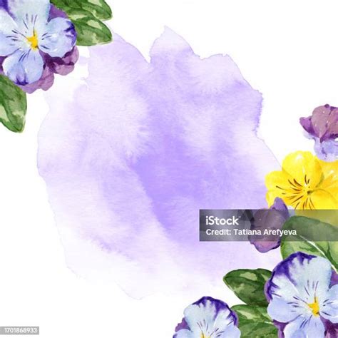 손으로 그린 팬지 꽃과 나뭇잎 보라색과 노란색 봄 꽃 라일락 수채화 배경에 여름 그림이 있는 수채화 프레임 삼색제비꽃에 대한 스톡 벡터 아트 및 기타 이미지 Istock
