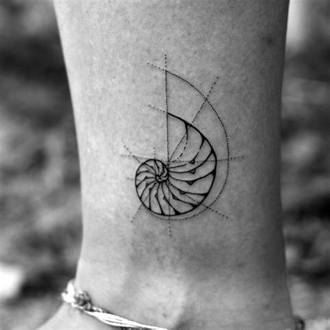 Simple Nautilus Tattoo