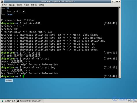 Linux操作 mkdir rm mv 蓝桥云课
