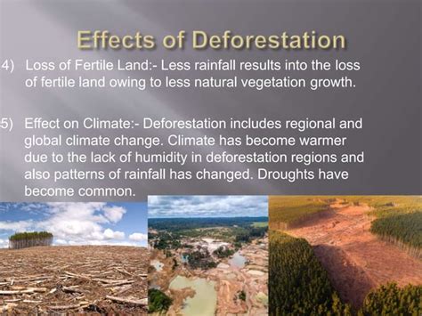 Deforestation Causes Effects Control Measures Impact On Tribal People Pptx