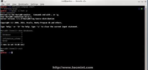 installing lemp linux nginx mysql mariadb php php fpm and