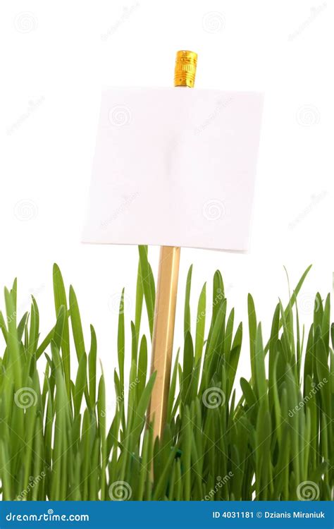 Grass With A Sheet For The Information Stock Image Image Of Freshness