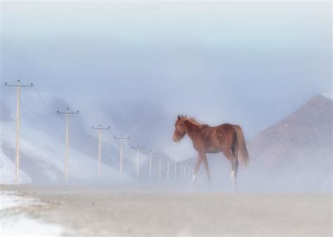 Road Trip Photograph By Mohammad Ataei Fine Art America