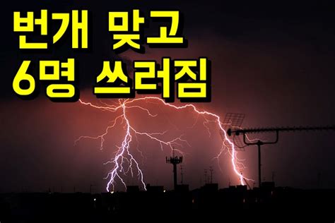 양양 번개 벼락 맞고 심정지 뿔로그
