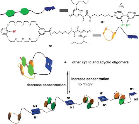 Figure 1 From New Linear Supramolecular Polymers That Are Driven By The