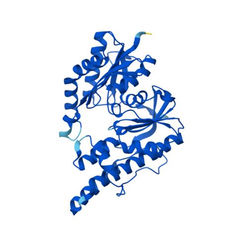 Rcsb Pdb Af Afq04mu2f1 Computed Structure Model Of Trna N6 Adenosine Threonylcarbamoyltransferase