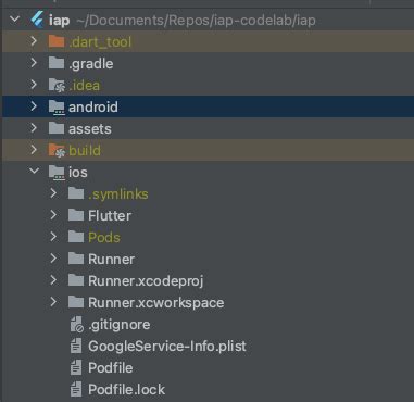 Adding In App Purchases To Your Flutter App Google Codelabs