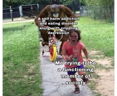 Dumb Bitch2 On Tumblr