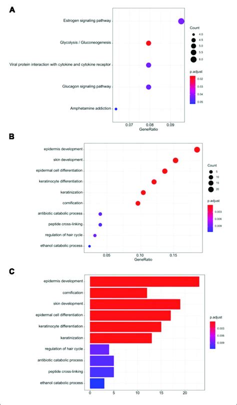 A Kegg Dot Plot Of Functional Enrichment In Co Related Pathways