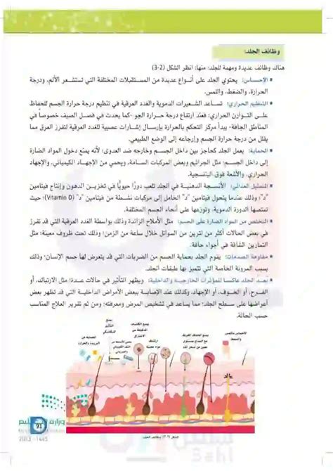 بنية جلد الإنسان أنظمة جسم الإنسان ثالث ثانوي المنهج السعودي