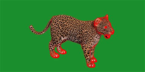 Leopard Cub Cat 3d Model By Nyilonelycompany