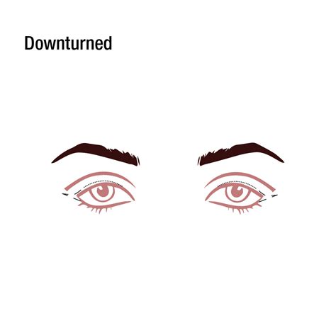 Eye Makeup Tutorials And Guides Eyeshadow Eyeliner Eye Shape
