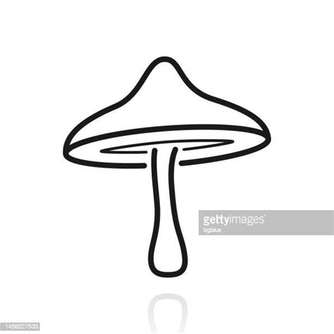 1649 Hongo Fondo Blanco High Res Illustrations Getty Images