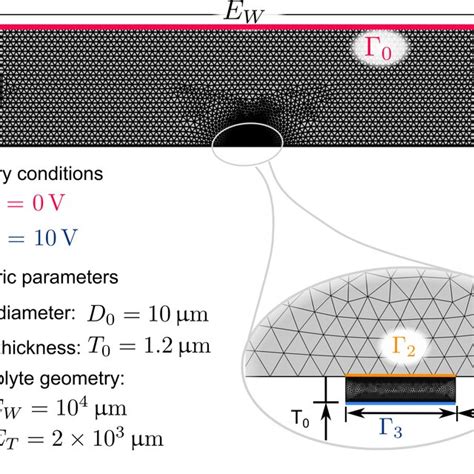 investigating model for simplification of mesh with continuity