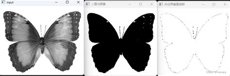 Opencv 外边界追踪算法的原理及其c实现 Csdn博客