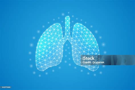 폐는 흰색으로 연결된 점이있는 낮은 폴리 기호입니다 3d 기하학적 다각형 장기 해부학 호흡기 이식 디자인 벡터 일러스트레이션