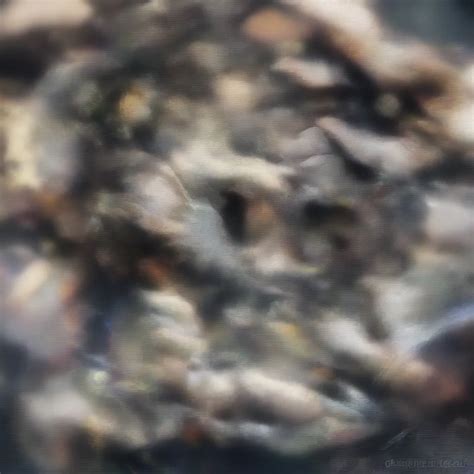 Data Mining In Healthcare Insights And Innovations