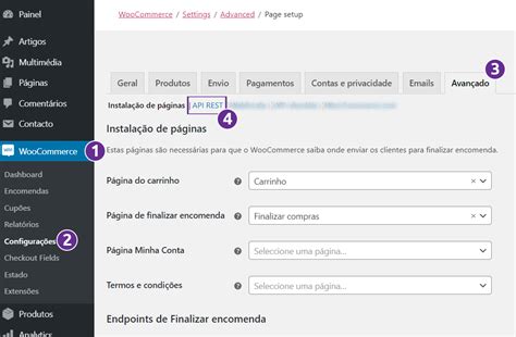 Api Woocommerce Consumer Key E A Consumer Secret