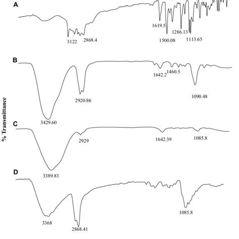 Colony Morphology Of Pseudomonas Fluorescens After 24 Hrs Growth On Download Scientific