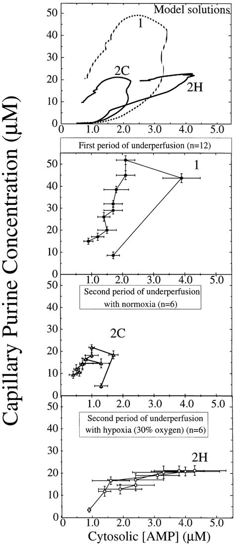 Top Panel Model Predictions Of The Relationship Between Download Scientific Diagram