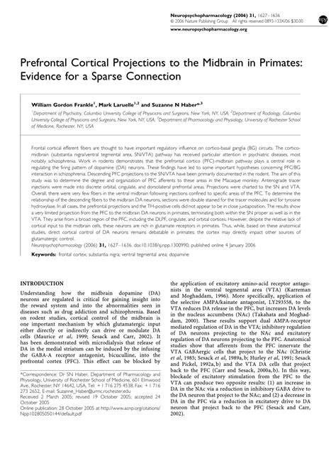 Pdf Prefrontal Cortical Projections To The Midbrain In Primates