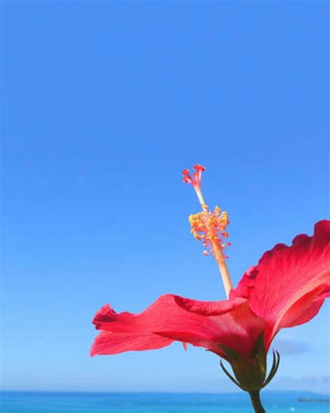 Tbbc Tbbc0601 • Instagram Photos And Videos