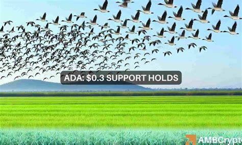 Cardano Price Prediction Watch These Price Levels If 03 Level Holds