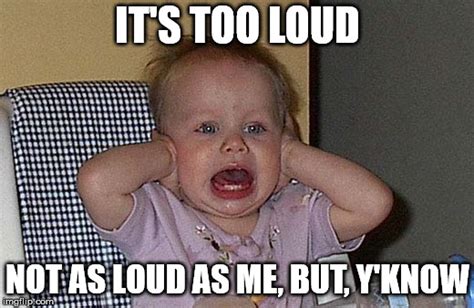 Loud Noise Memes 3 Major Mistakes Cat Owners Must Avoid