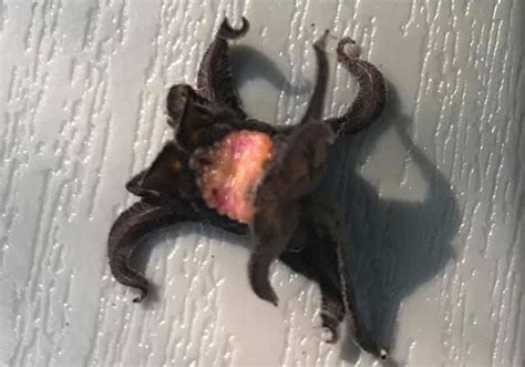 40 Times People Found Weird Things And Internet Detectives Came To