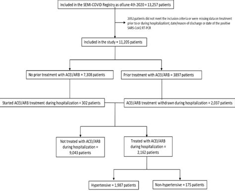 Patient Inclusion Flowchart RT PCR Real Time Polymerase Chain