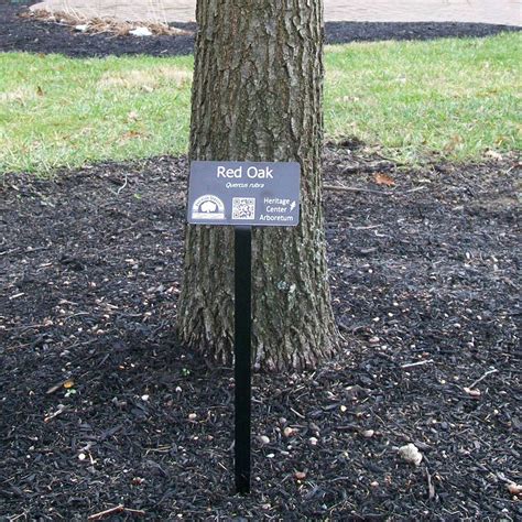 Arboretum Tags Layout 2 Lines Of Text 3 Options National Band And