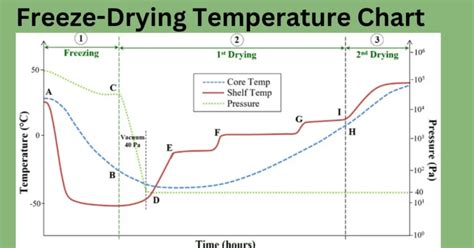 Freeze Drying Temperature Chart Archives • Asita Freeze Dryer