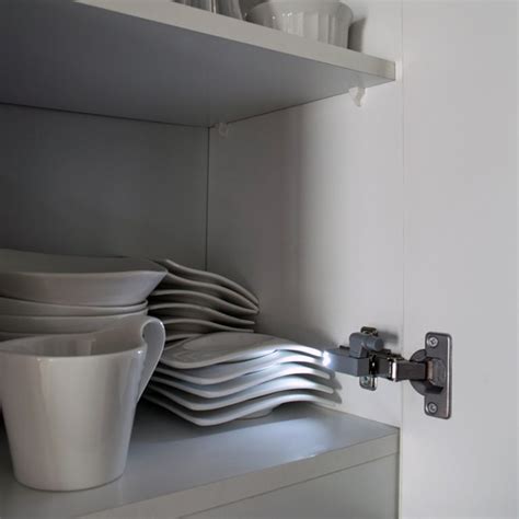 Roseta Negra 2” Rey