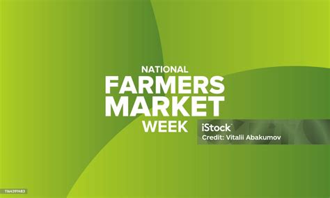 미국에서 전국 농민 시장 주간 건강한 공동체 지역 경제에 대한 지원 미국에서 농업의 개발 포스터 인사말 카드 배너 배경 벡터 일러스트레이션 농산물 직판장에 대한 스톡 벡터