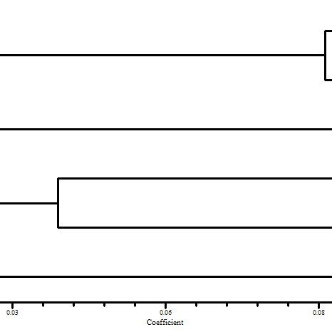 Dendrogram UPGMA Based On The Morphological Similarity Coefficient Of Download Scientific