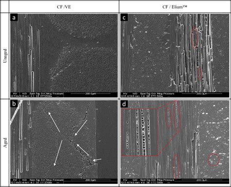 Sem Graphs Of The Cross Section Surface Of Both Materials For Unaged A