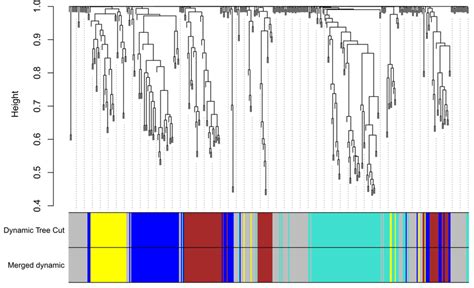 Dendrogram Of Clustered Genes Constructed By Wgcna Based On 1 Tom For