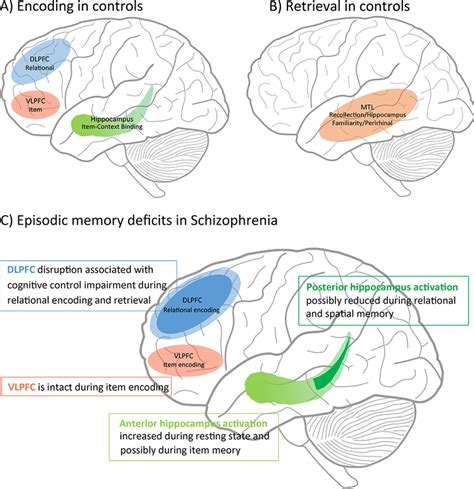 Memory And Cognition In Schizophrenia Abstract Europe Pmc